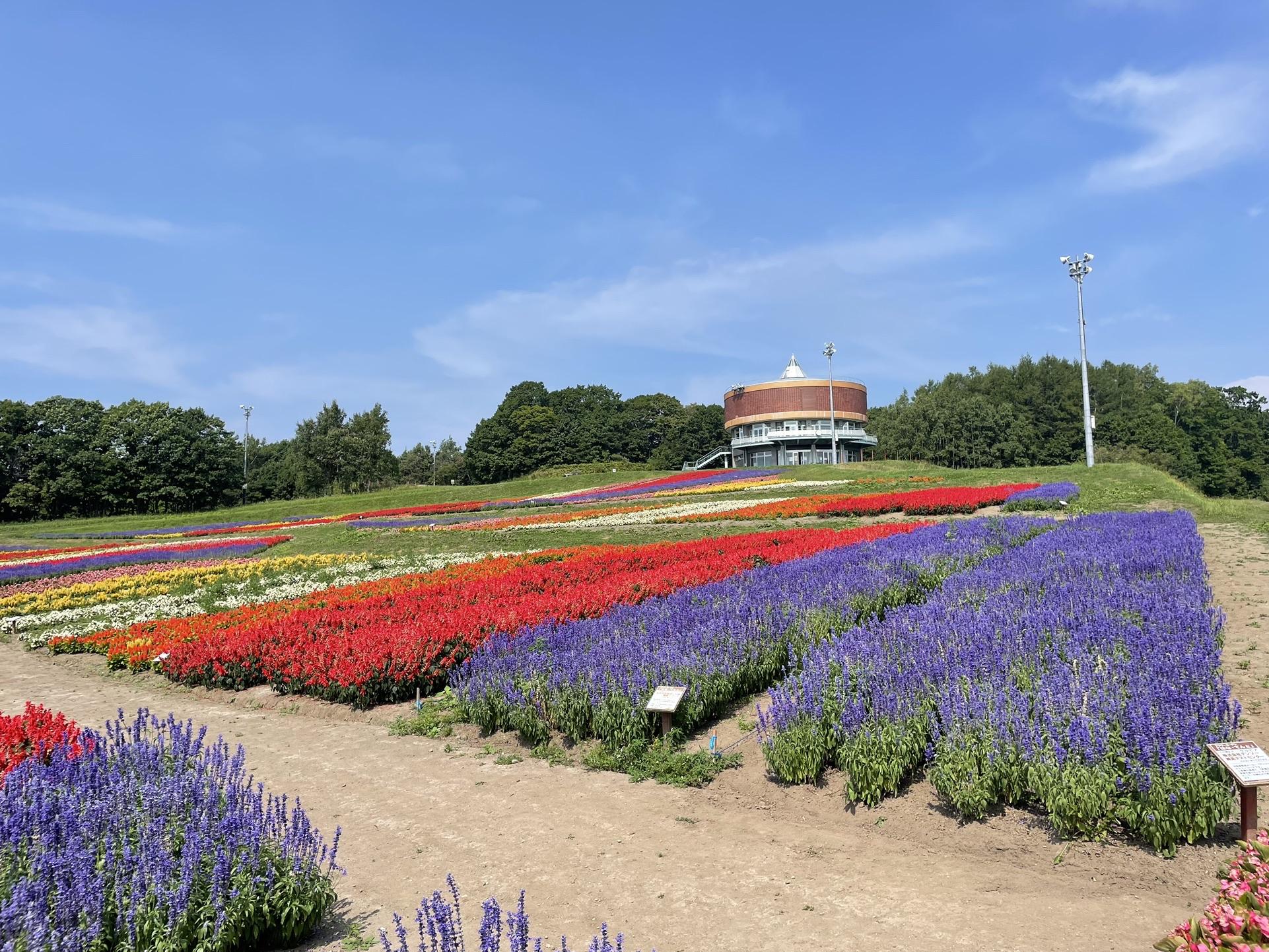 家族旅行 2日目、北天の北 →フラワーガ... / hideshanさんのモーメント | YAMAP / ヤマップ