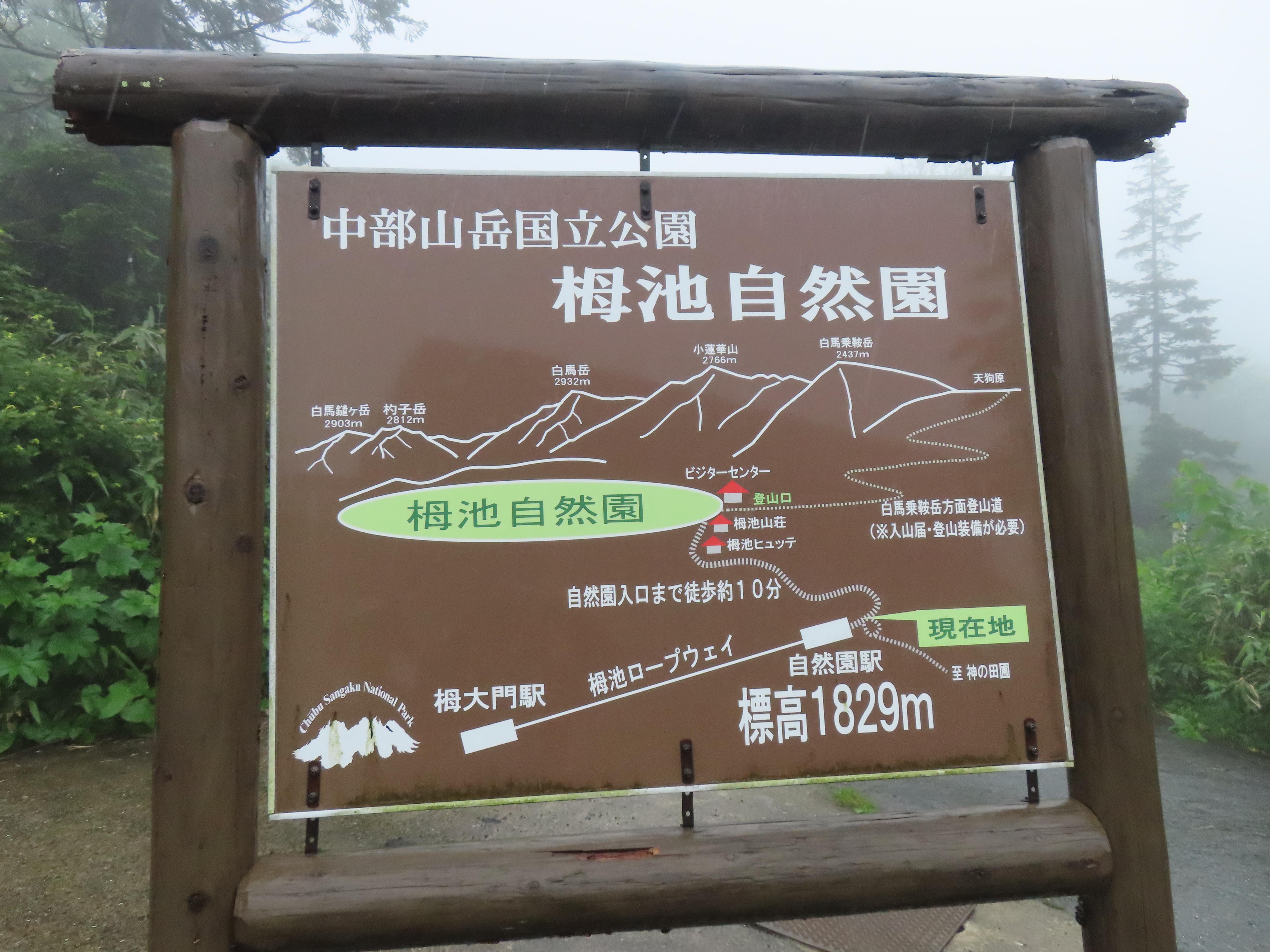 栂池自然園散策 / yuーちゃんさんの雪倉岳・朝日岳・風吹岳の活動データ | YAMAP / ヤマップ