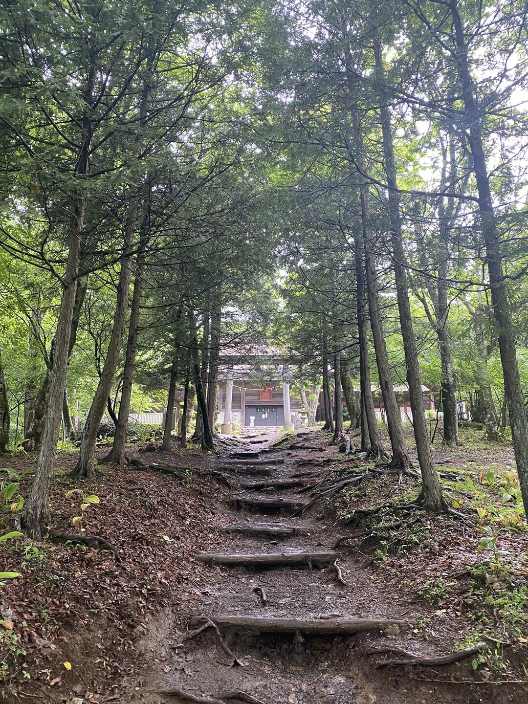 武甲山 ※日本二百名山 / Kanazさんの武甲山・伊豆ヶ岳・小持山の活動データ | YAMAP / ヤマップ