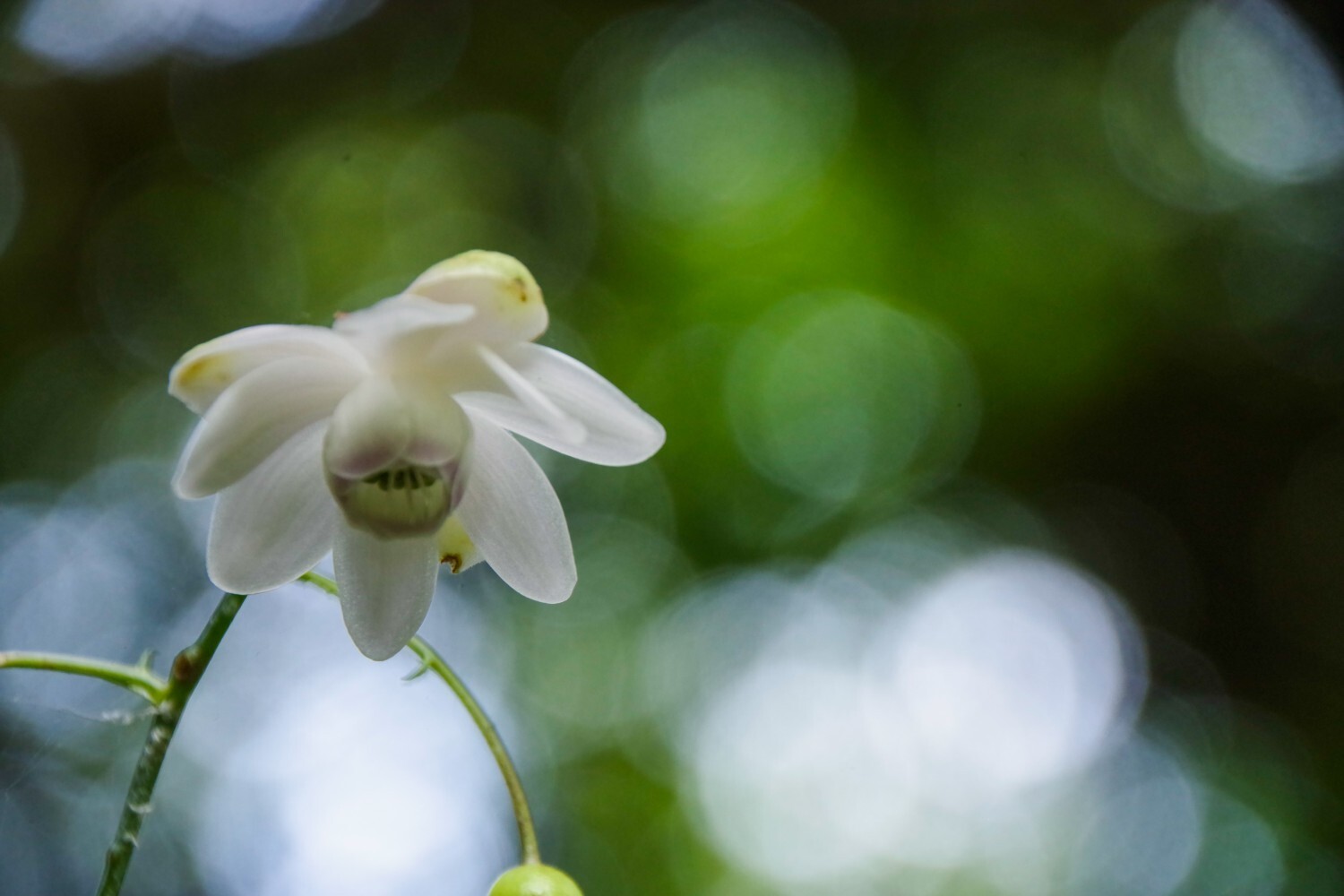連勤の中日は山行ではなくお散歩。 フォロ... / Hazzie.さんのモーメント | YAMAP / ヤマップ