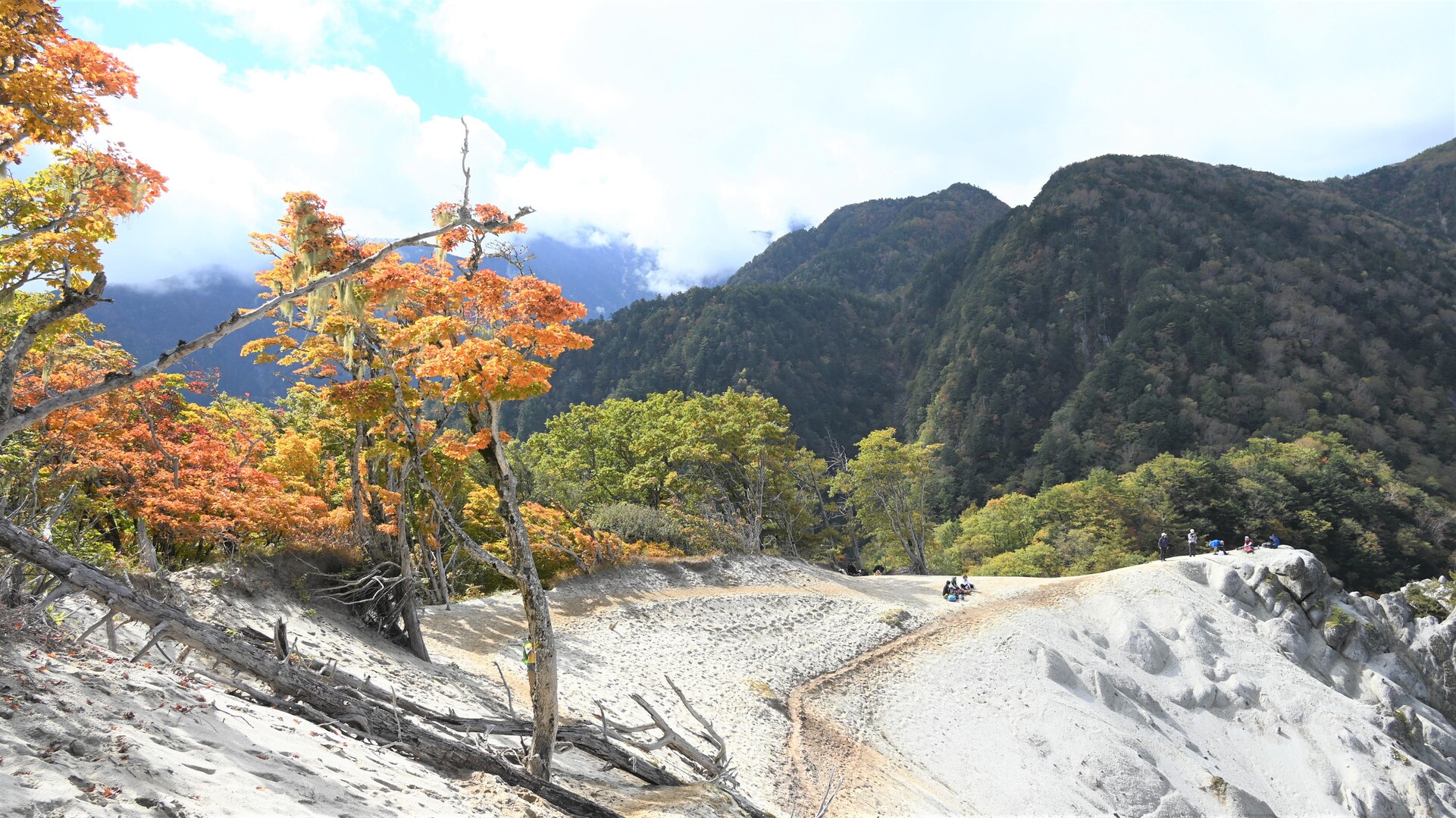 日向山 / yasz_wanさんの雨乞岳の活動データ | YAMAP / ヤマップ