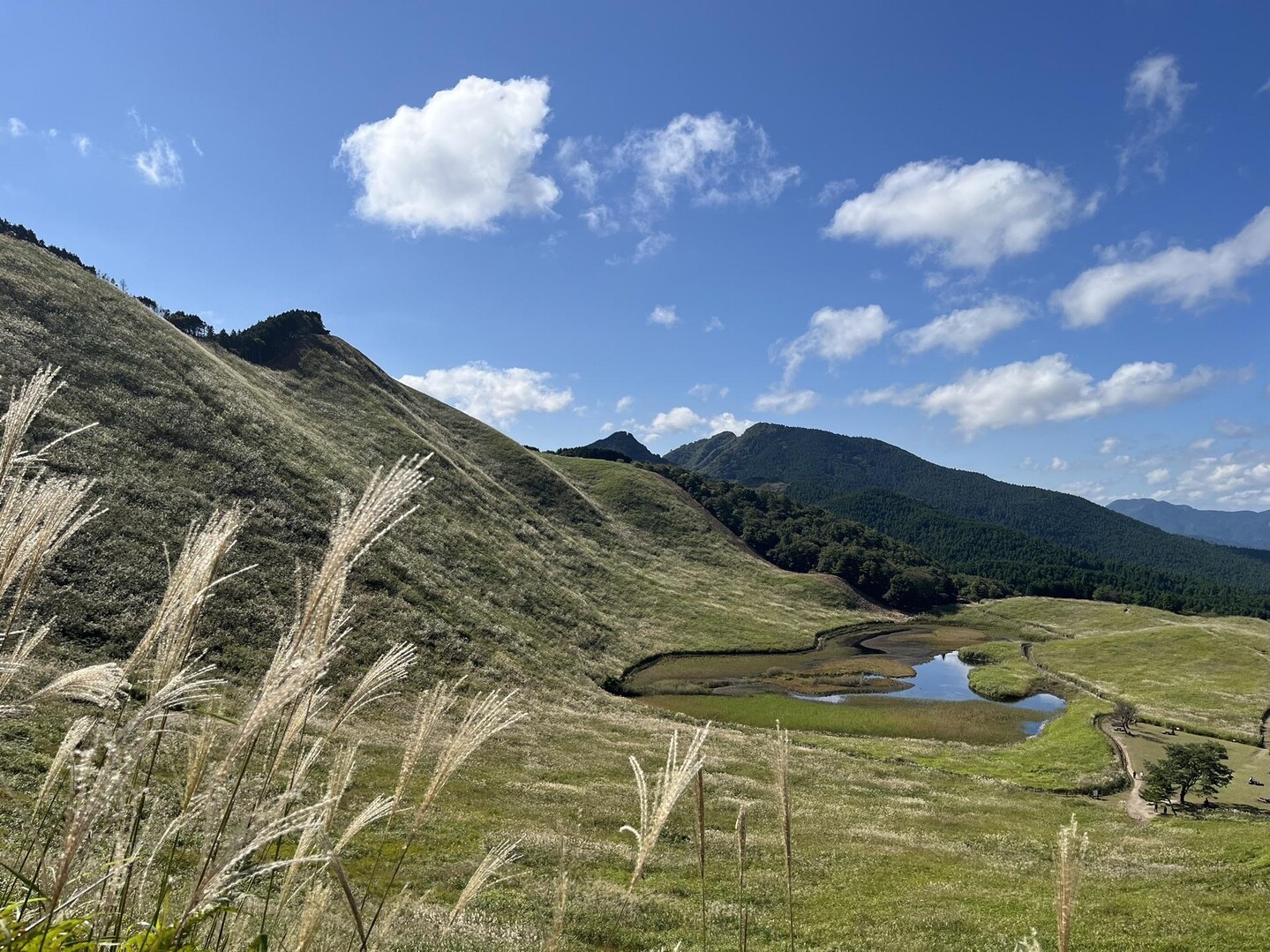 曽爾高原 / asさんの倶留尊山・曽爾高原・古光山の活動データ | YAMAP / ヤマップ