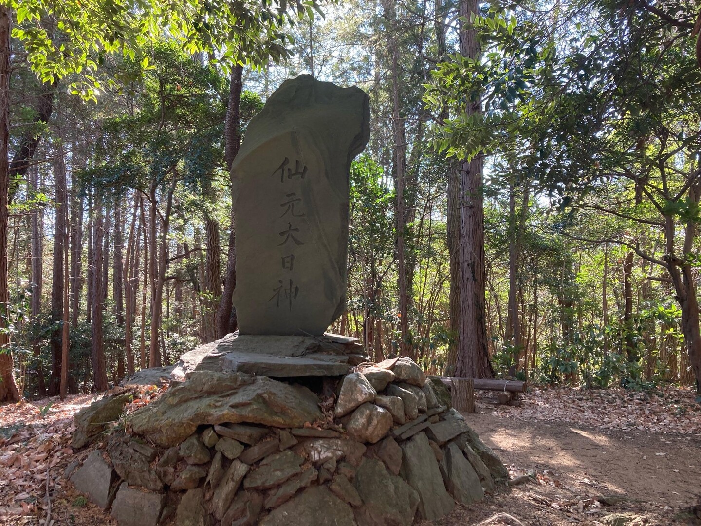 taoさんの投稿したフィールドメモ | YAMAP / ヤマップ