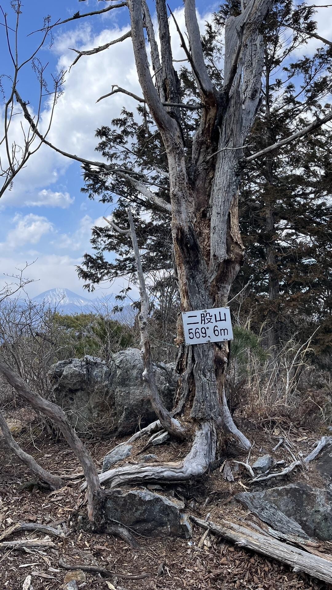 二股山 / isoさんの二股山・岩山の活動データ | YAMAP / ヤマップ