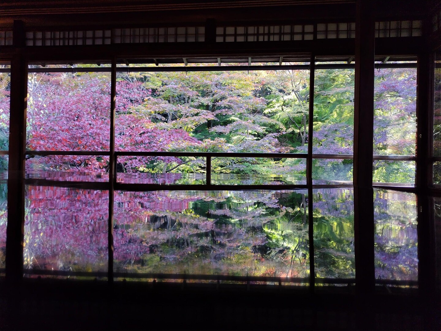 大人の遠足〜2023秋〜 / mktさんの比叡山・横高山・梶山の活動データ | YAMAP / ヤマップ