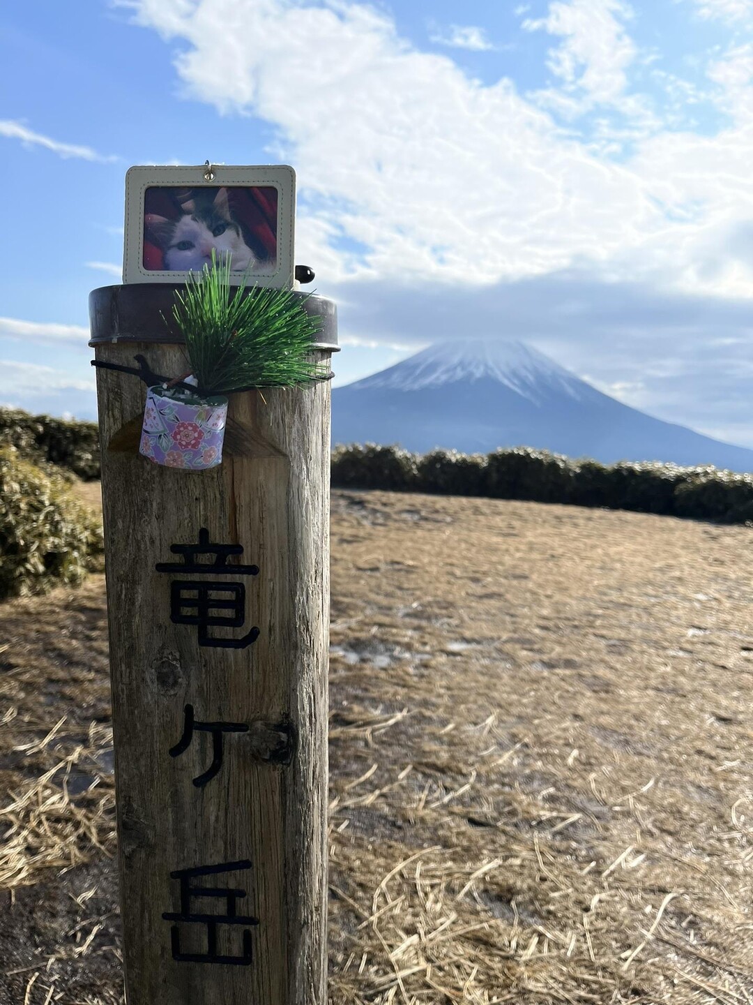 竜ヶ岳・なっくんと共にR5-5(通算160) / なっくんさんの毛無山・雨ヶ岳・竜ヶ岳の活動データ | YAMAP / ヤマップ