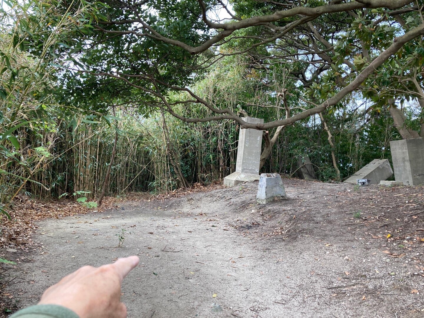 Toshio さんの投稿したフィールドメモ | YAMAP / ヤマップ