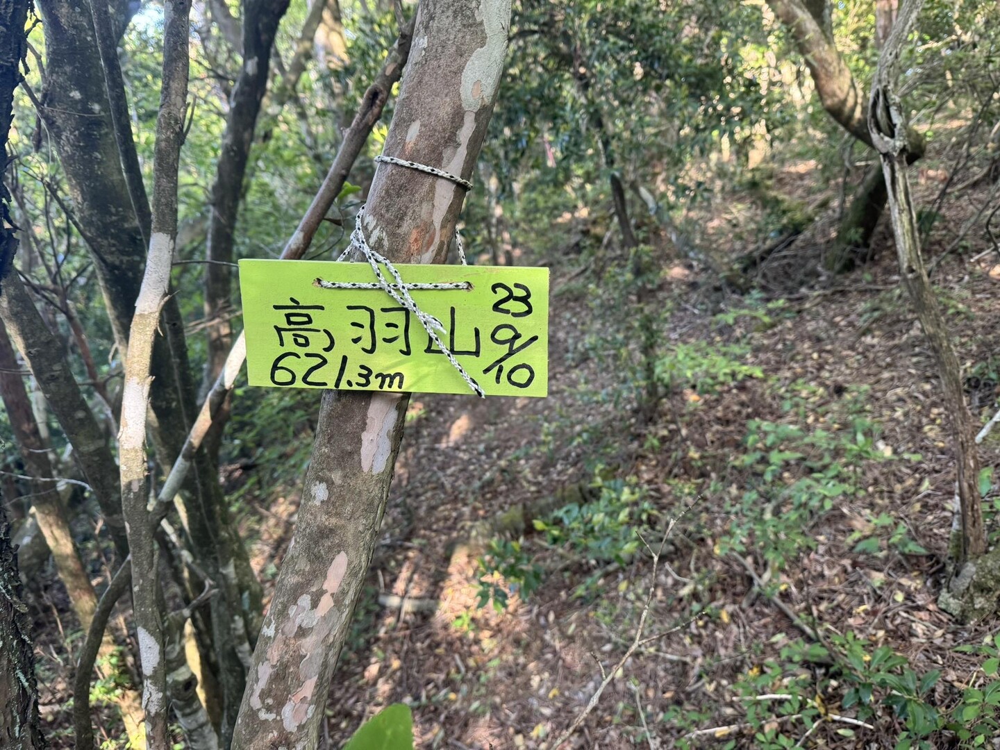 美東② 高羽山 / koma_xさんの萩往還その1（萩市〜佐々並市）の活動データ | YAMAP / ヤマップ