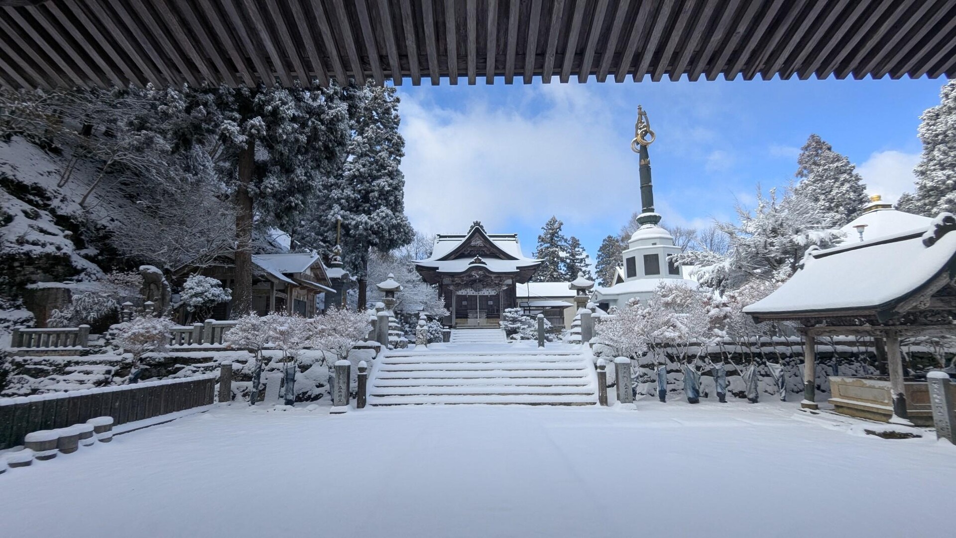 高越山 / rikiさんの高越山・奥野々山の活動データ | YAMAP / ヤマップ
