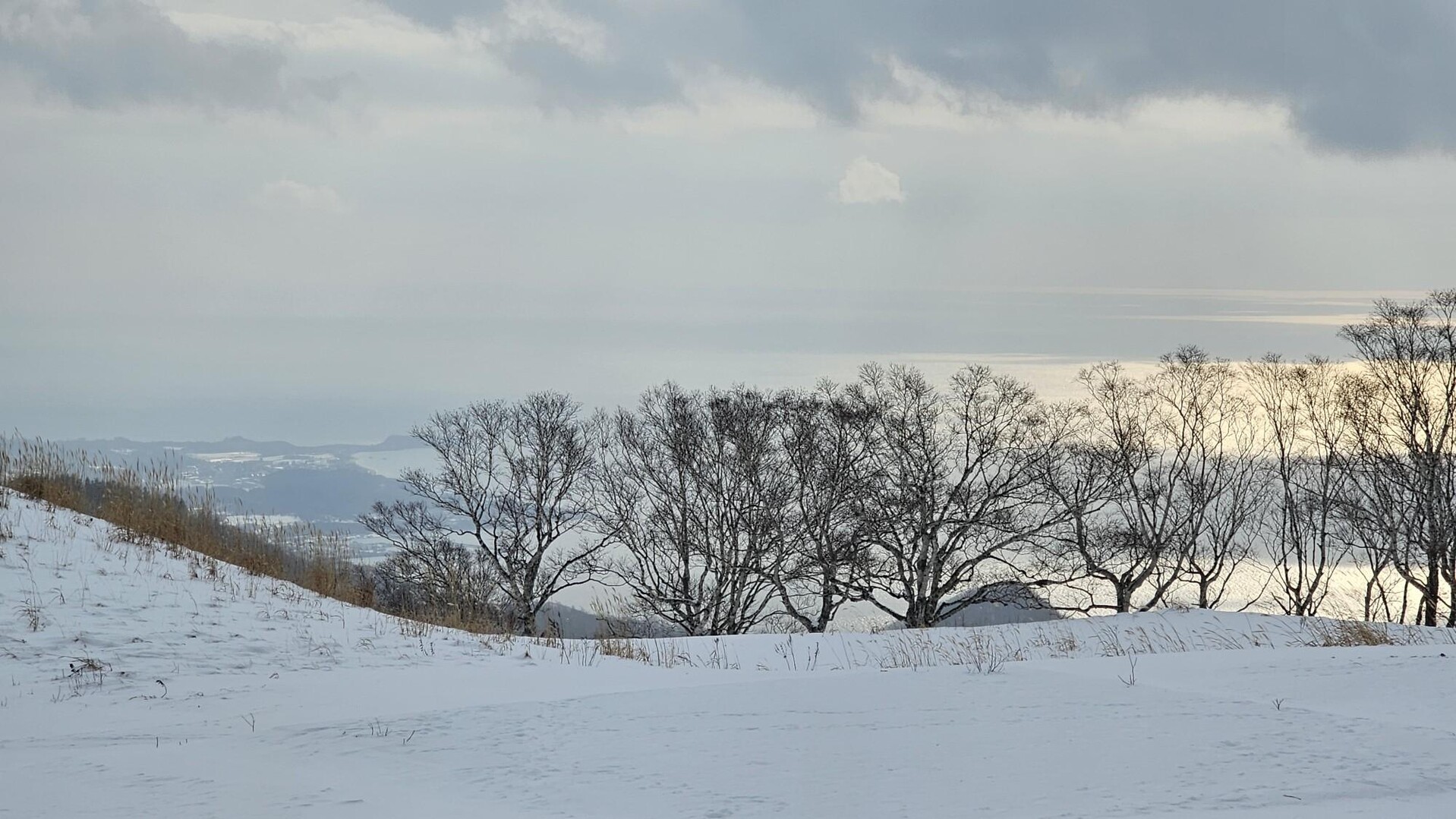 ポロモイ山(幌萌山) / 🍑TOMOMO🍑さんのポロモイ山の活動データ | YAMAP / ヤマップ