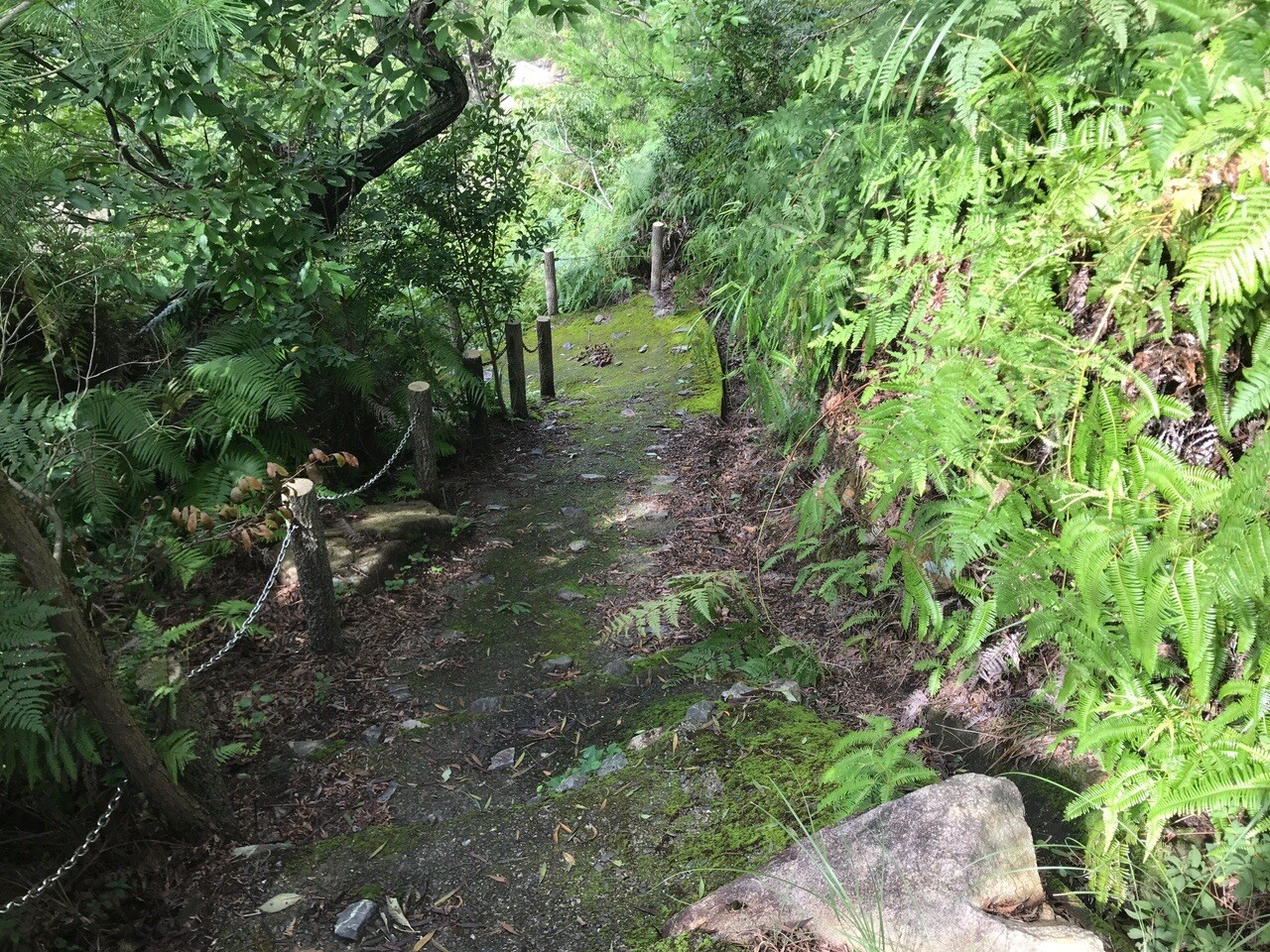 hayatoさんの投稿したフィールドメモ | YAMAP / ヤマップ