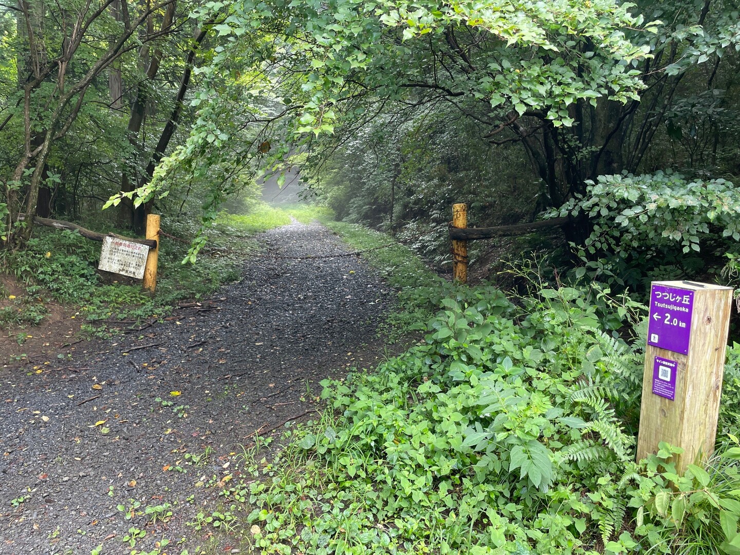 von Sigさんの投稿したフィールドメモ | YAMAP / ヤマップ