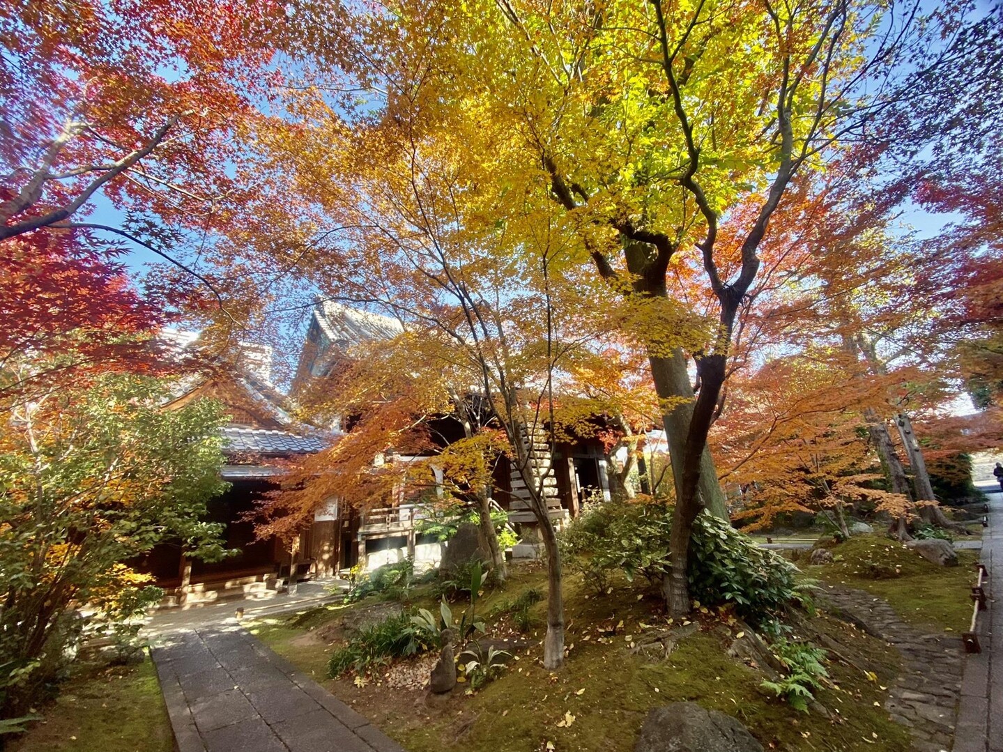崇覚寺までお散歩🚶‍♂️ / Y45Uさんの名古屋市の活動データ | YAMAP / ヤマップ