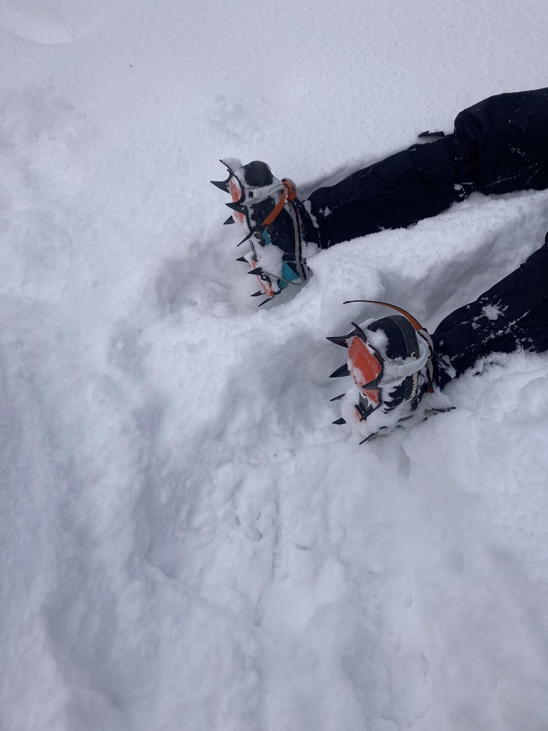 湯ノ丸山 / cocoacoさんのウォーキングの活動データ | YAMAP / ヤマップ