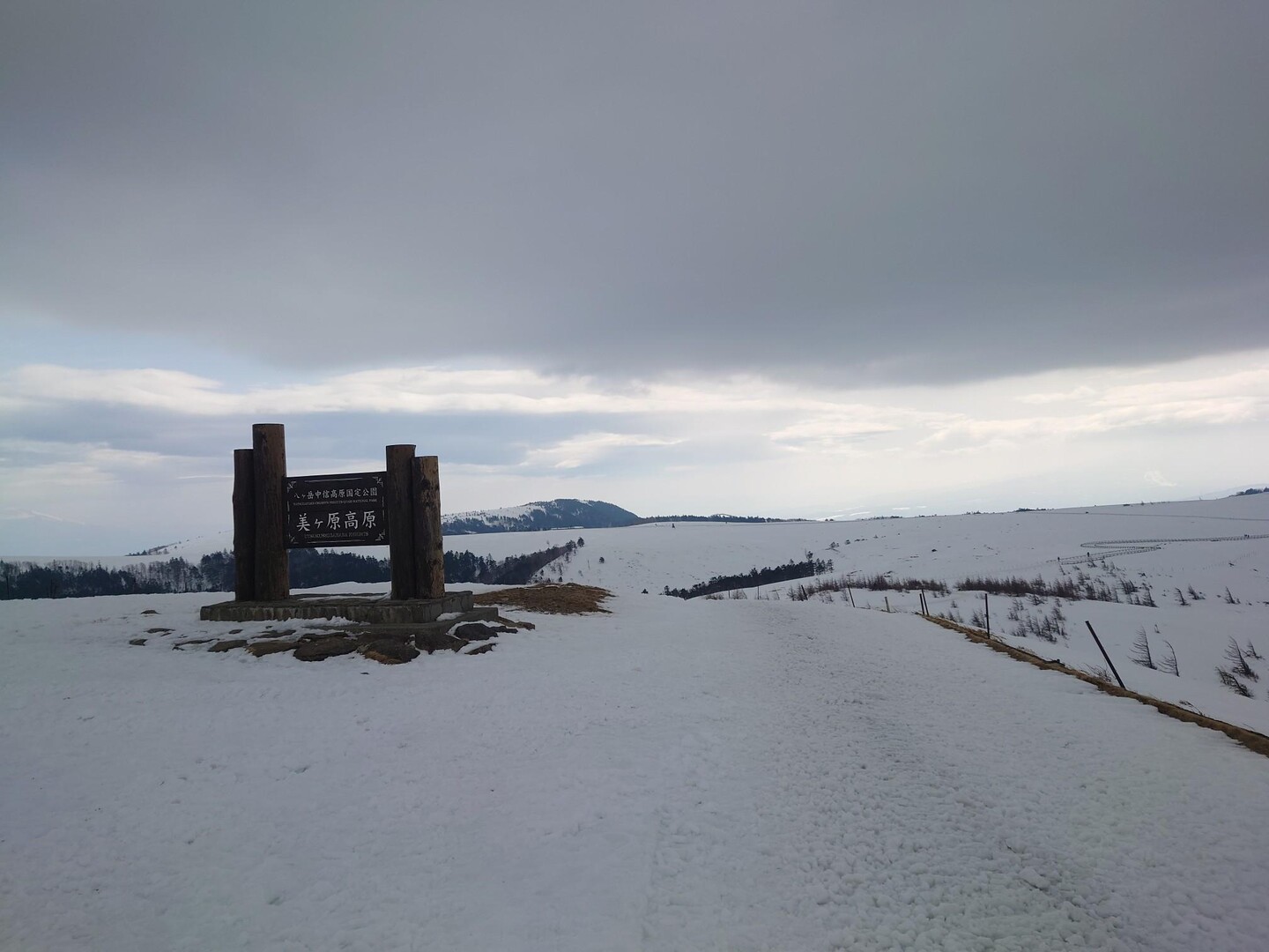 3/17美ヶ原（王ヶ頭） / TKSさんの美ヶ原の活動データ | YAMAP / ヤマップ