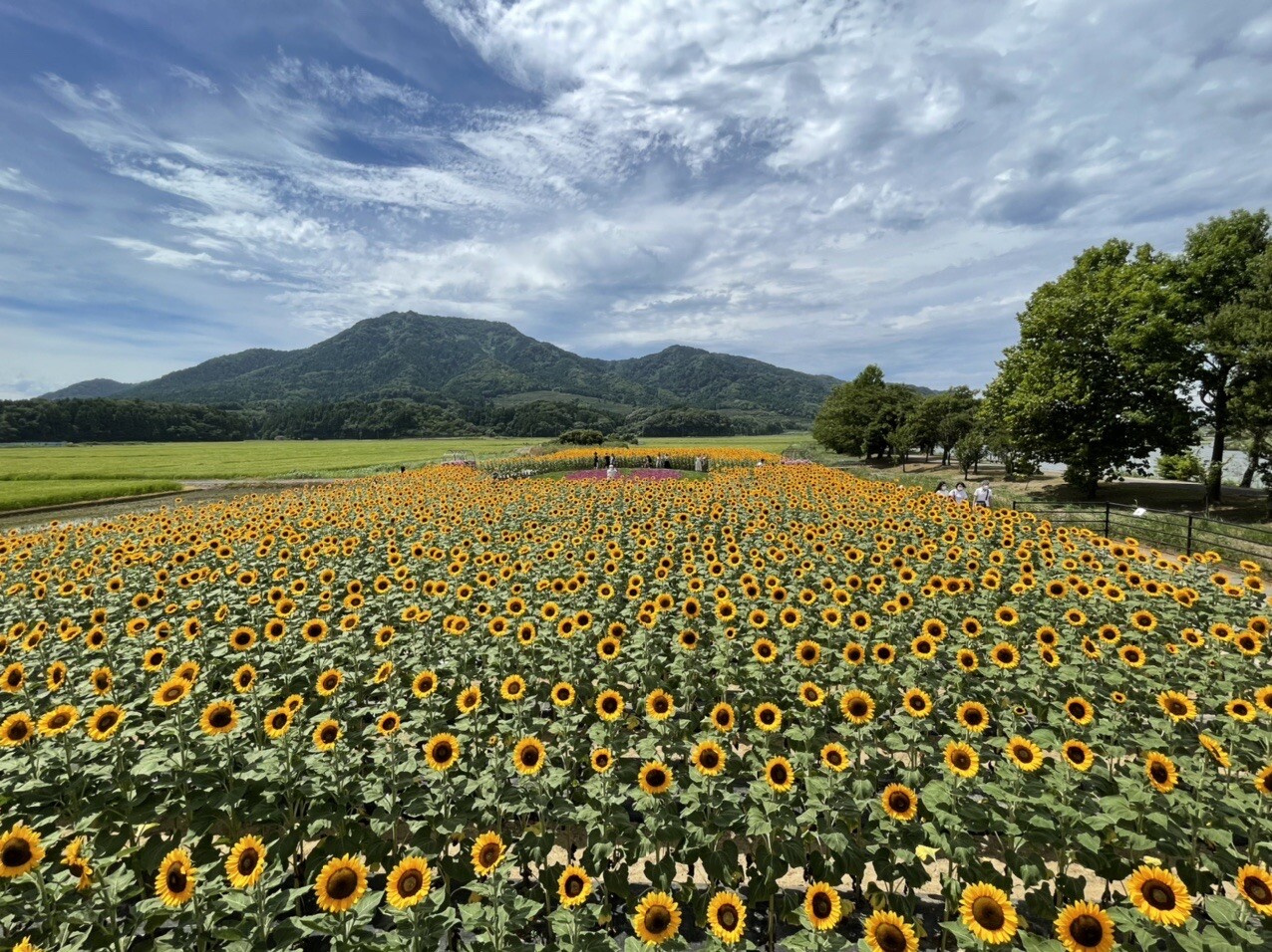 角田山(長者原山) キツネ プラスアルファvol.2 / kaizaさんの角田山の活動データ | YAMAP / ヤマップ
