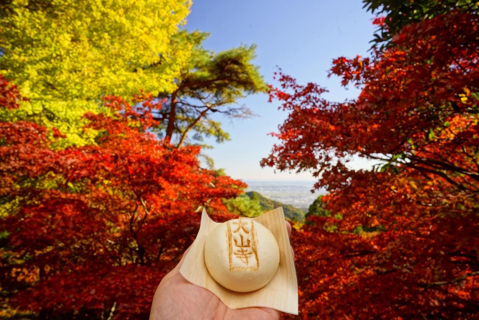 大山 / pineさんの大山の活動データ | YAMAP / ヤマップ