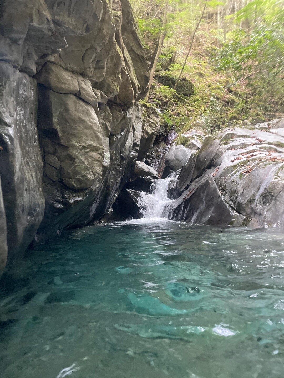 本沢川 黒倉又谷(台高) 沢登り⛑️ / magukoさんの大台ヶ原山・日出ヶ岳・大杉谷の活動データ | YAMAP / ヤマップ