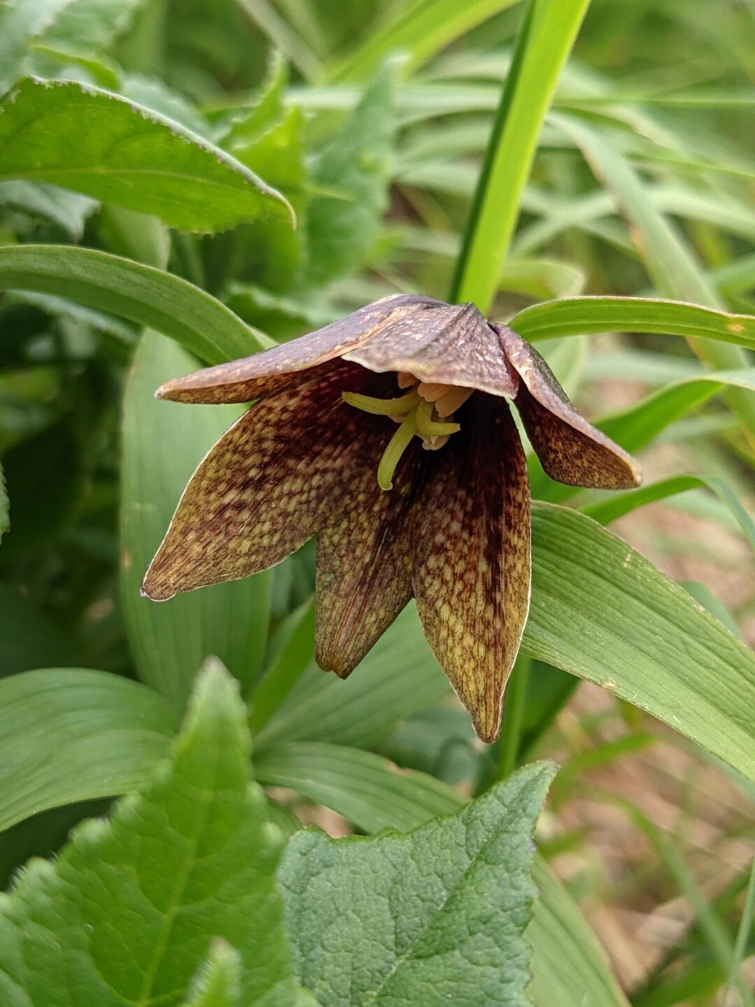 yugohのページ | YAMAP / ヤマップ