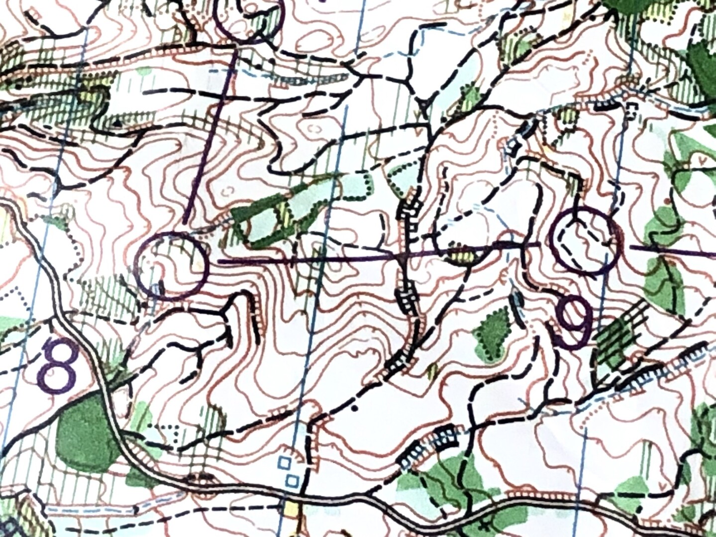 昨日50kmオーバーのLSDやって、 今... / seaさんのモーメント | YAMAP / ヤマップ