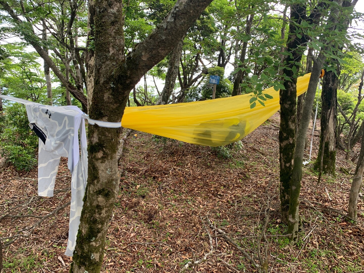 前釣鐘山（鹿川の休日） / banffさんの大崩山・五葉岳・新百姓山の活動日記 | YAMAP / ヤマップ