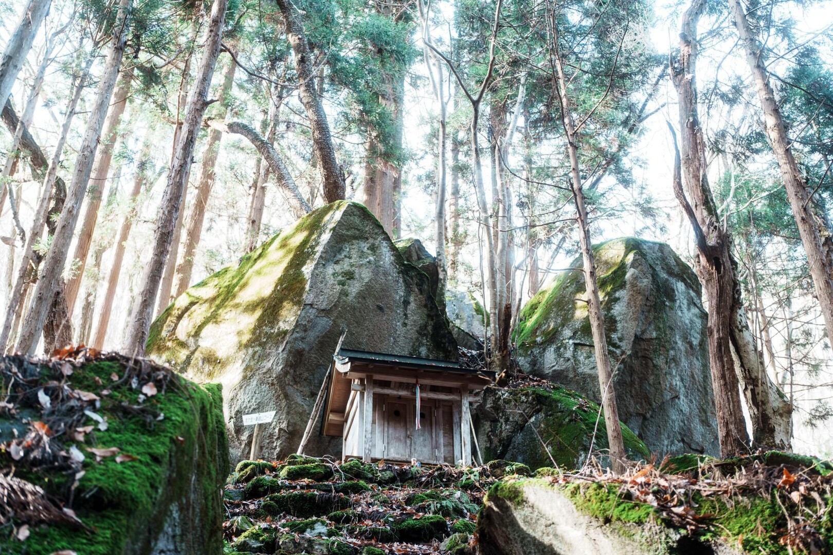 朝島山 / muさんの黒森山・朝島山の活動データ | YAMAP / ヤマップ