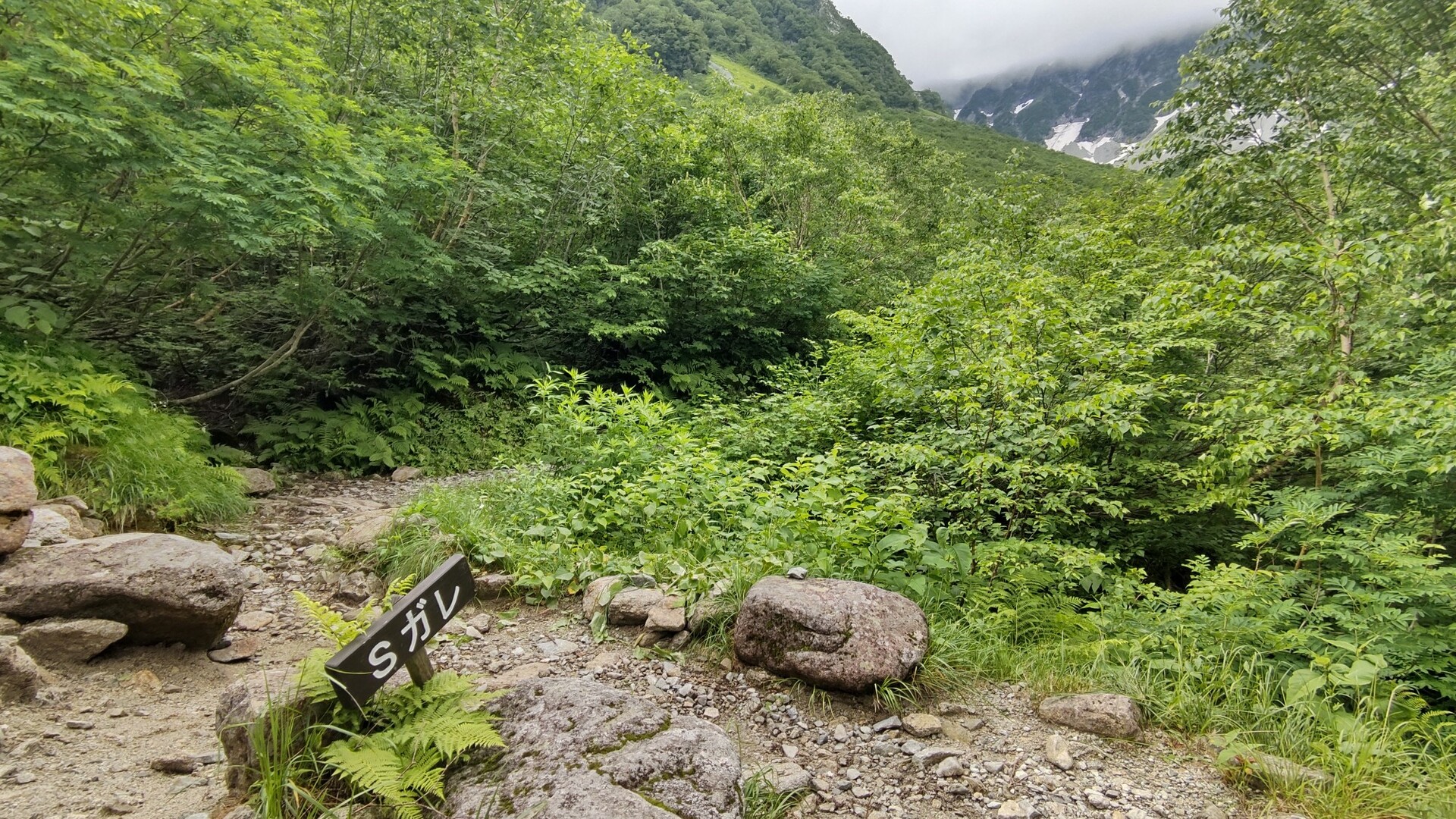 Enzouさんの投稿したフィールドメモ | YAMAP / ヤマップ