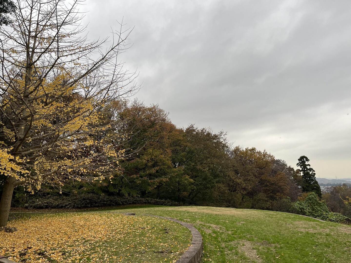 多摩センターから若葉台まで4ピーク(取り損ねあり)午後の部 / mskふぅさんの多摩市の活動データ | YAMAP / ヤマップ