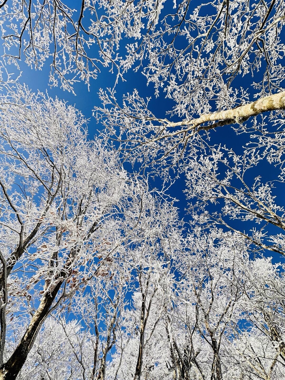 ER☻のページ | YAMAP / ヤマップ