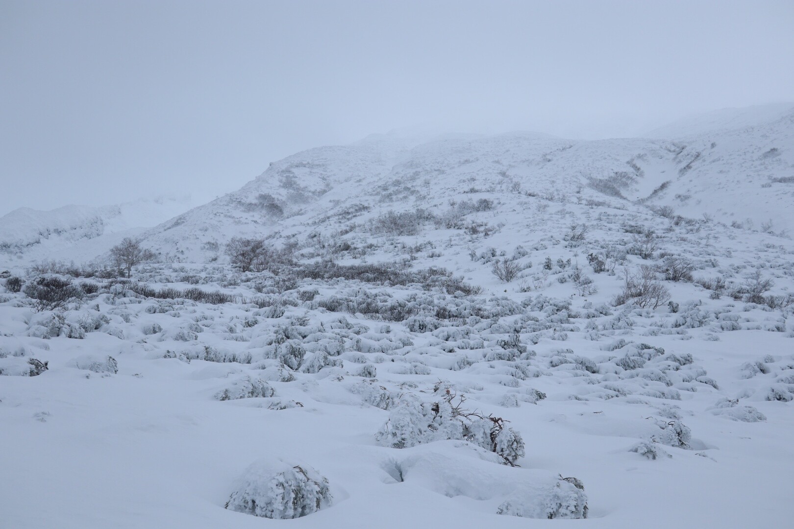 バリズボな白銀荘⇄三段山BC / bono.さんの大雪山系・旭岳・トムラウシの活動データ | YAMAP / ヤマップ