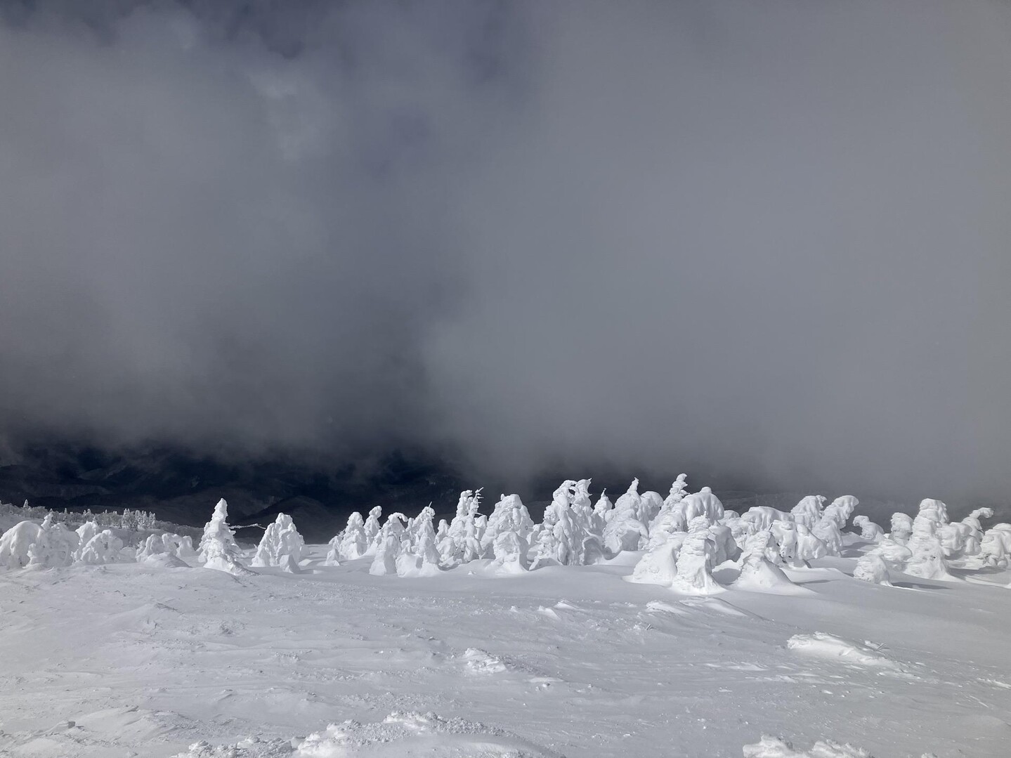 石森・森吉山 / motoh698さんの森吉山の活動データ | YAMAP / ヤマップ