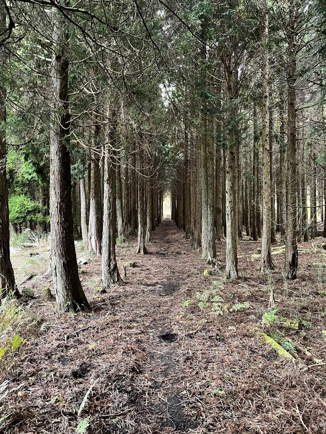 ふぁ〜ん🥺ww / ふるふるさんのモーメント | YAMAP / ヤマップ