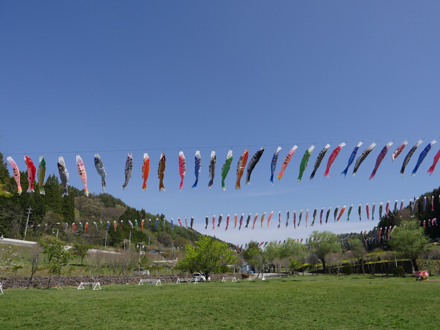 道の駅南きよさとの鯉のぼり。 / syorinさんのモーメント | YAMAP / ヤマップ