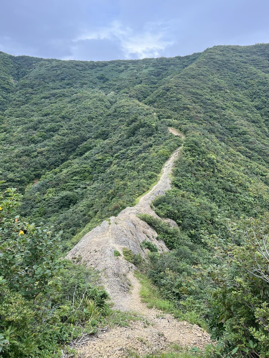 粟ヶ岳 / Amiさんの粟ヶ岳・權ノ神岳・宝蔵山の活動データ | YAMAP / ヤマップ