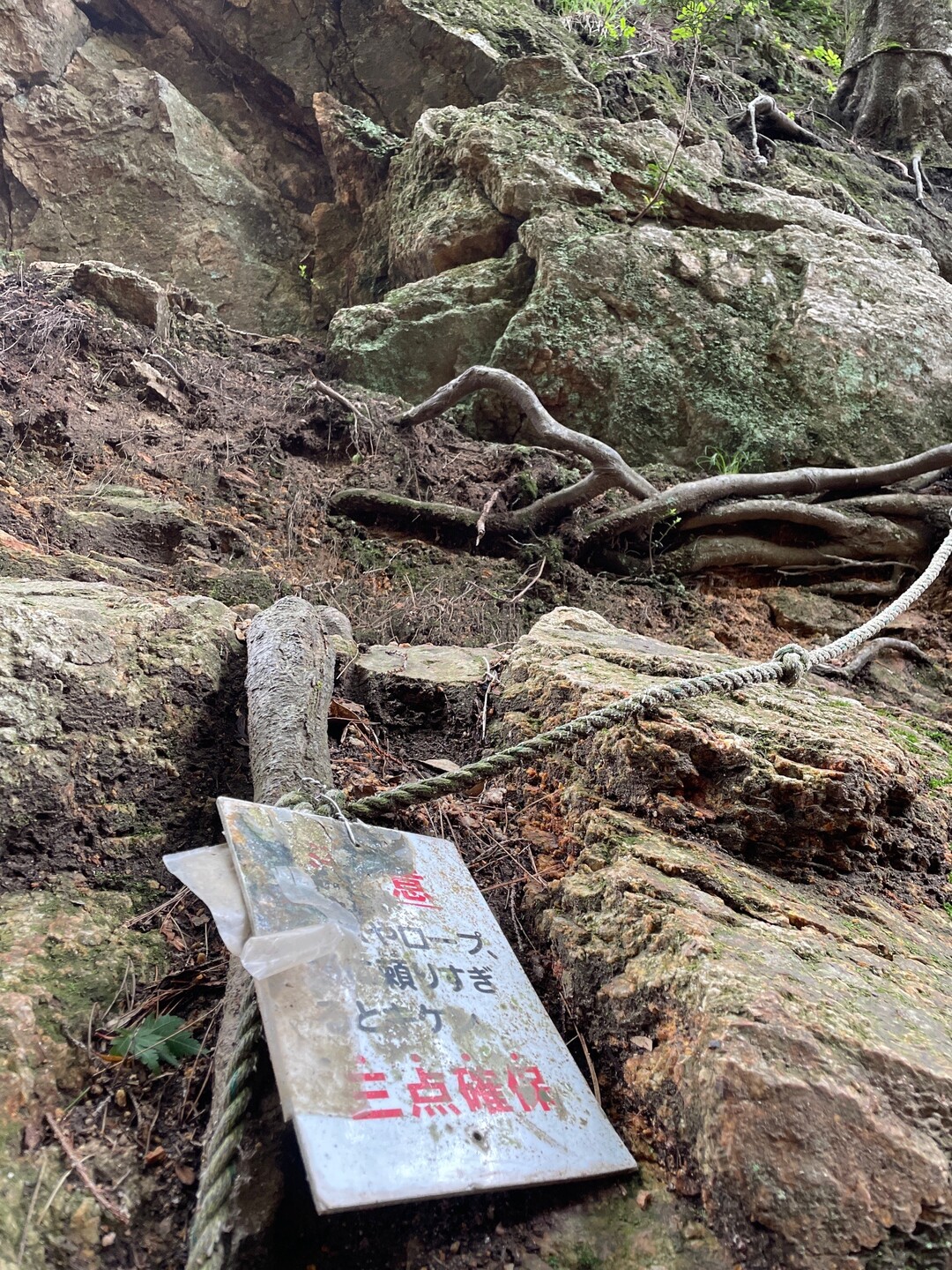 Marry🐾さんの投稿したフィールドメモ | YAMAP / ヤマップ