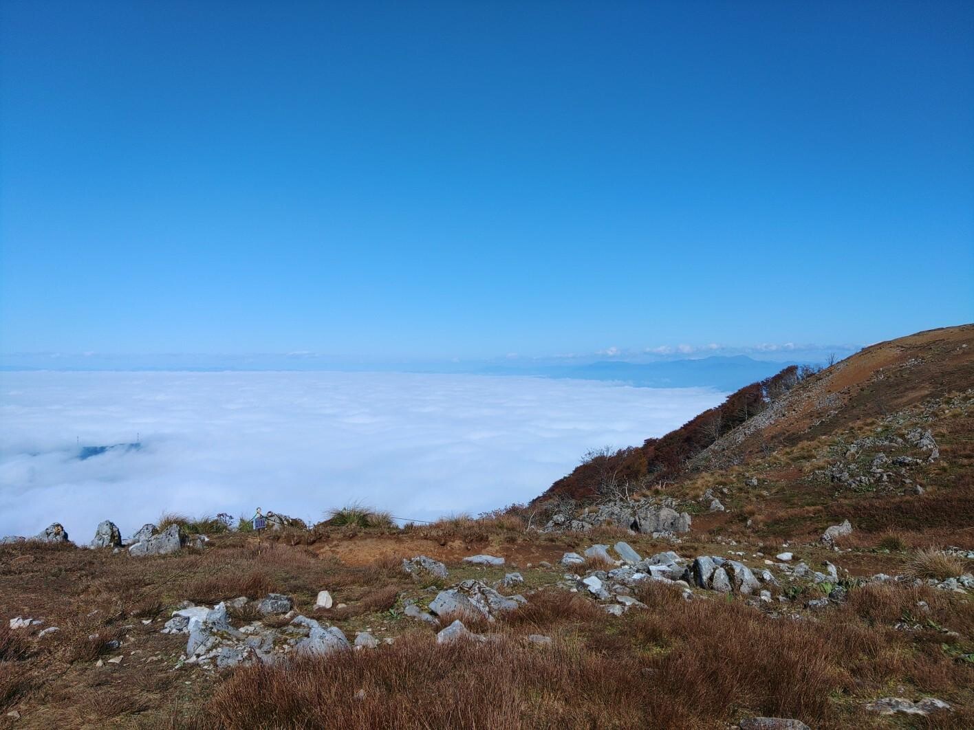 経塚山・霊仙山 [花の百名山11] / akko-chan さんの霊仙山の活動データ | YAMAP / ヤマップ
