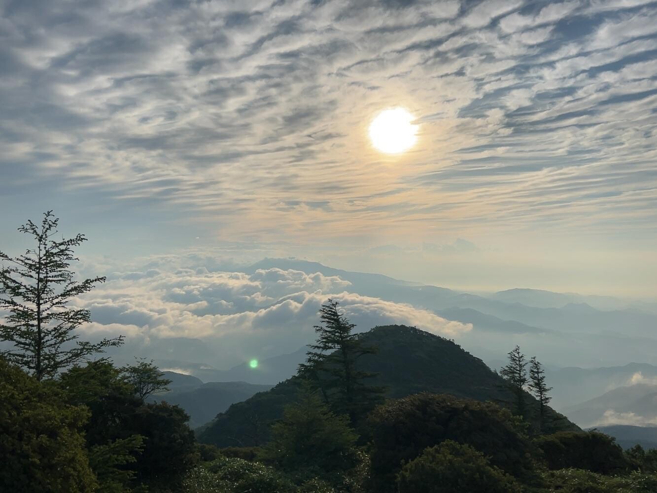 霧降高原朝活🌅🌼 / sorarinnさんの女峰山・赤薙山・大真名子山の活動データ | YAMAP / ヤマップ