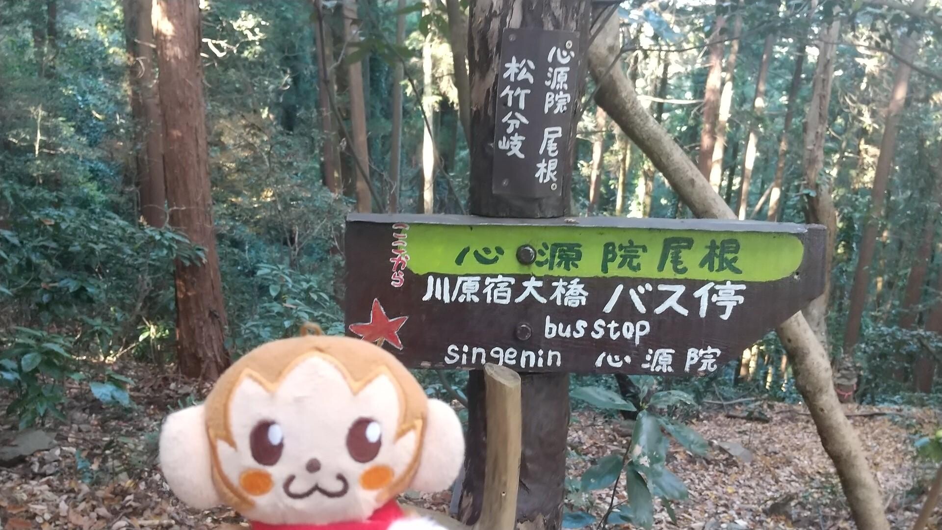 心源院尾根でリフレッシュ🍁 / kumakoさんの高尾山・陣馬山・景信山の活動データ | YAMAP / ヤマップ