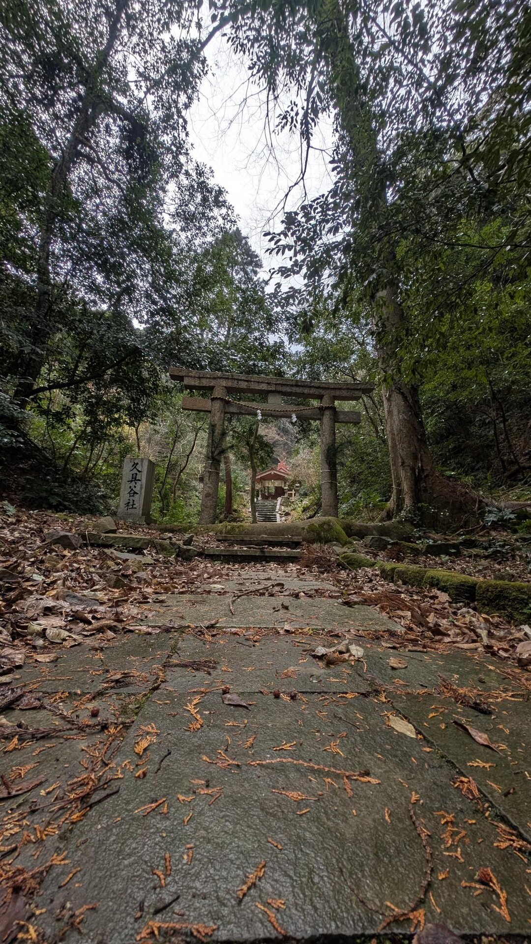 馬着山-2024-12-30 / TAKA_B さんの馬着山の活動データ | YAMAP / ヤマップ