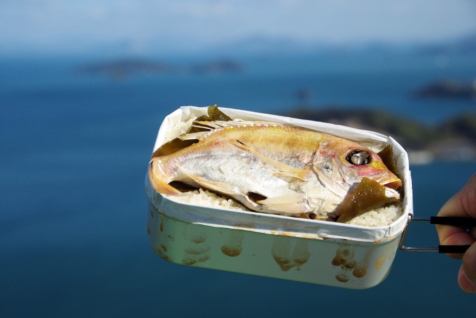 飯の山 / kbさんの嘉納山・頂海山・周防大島の活動データ | YAMAP / ヤマップ