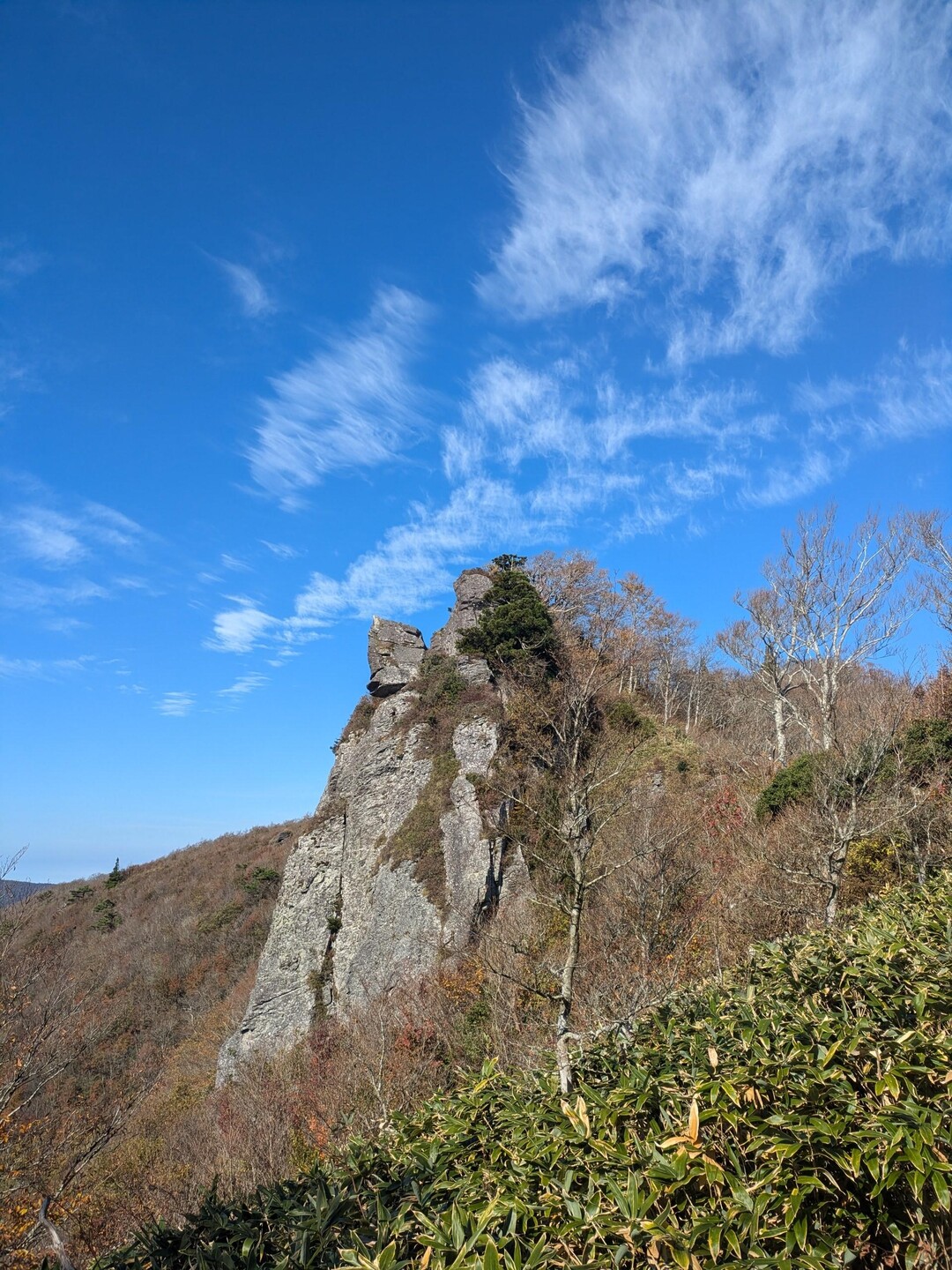 大神ヶ岳〜赤谷山 / jonasanさんの大神ヶ岳・赤谷山の活動データ | YAMAP / ヤマップ
