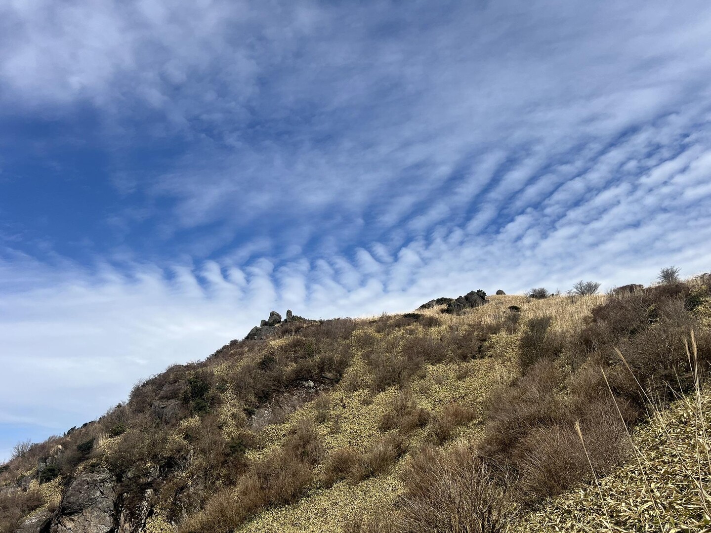 福智山 / motoyaさんの福智山・尺岳・雲取山の活動データ | YAMAP / ヤマップ