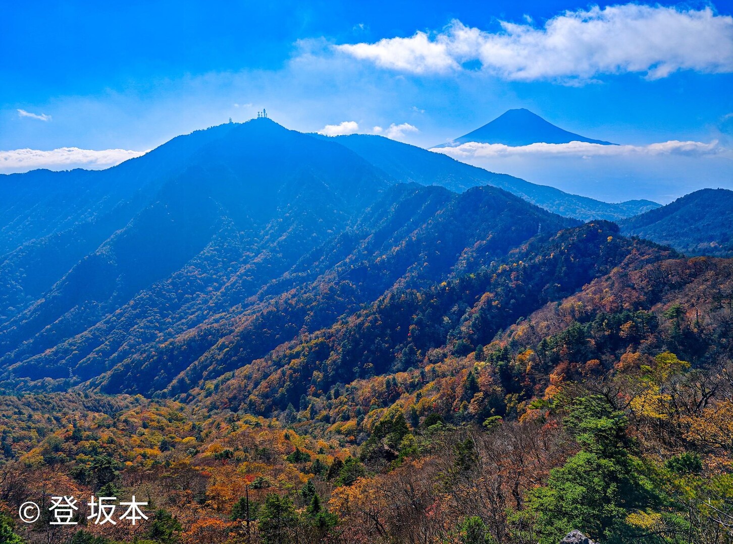 清八山・本社ヶ丸・八丁山 / nobo1274さんの三ッ峠山・本社ヶ丸・鶴ヶ鳥屋山の活動データ | YAMAP / ヤマップ
