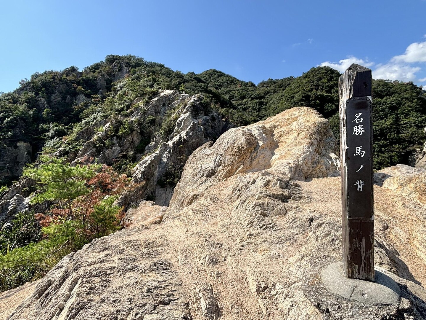 須磨アルプス（2024-10-12） / saku sakuさんの六甲山・長峰山・摩耶山の活動データ | YAMAP / ヤマップ