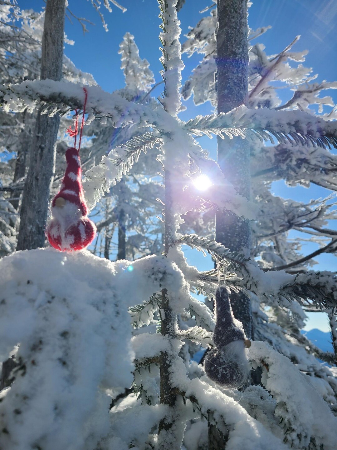 Happy X'mas 🎄 蓼科山 / miaさんの蓼科山・横岳・縞枯山の活動データ | YAMAP / ヤマップ