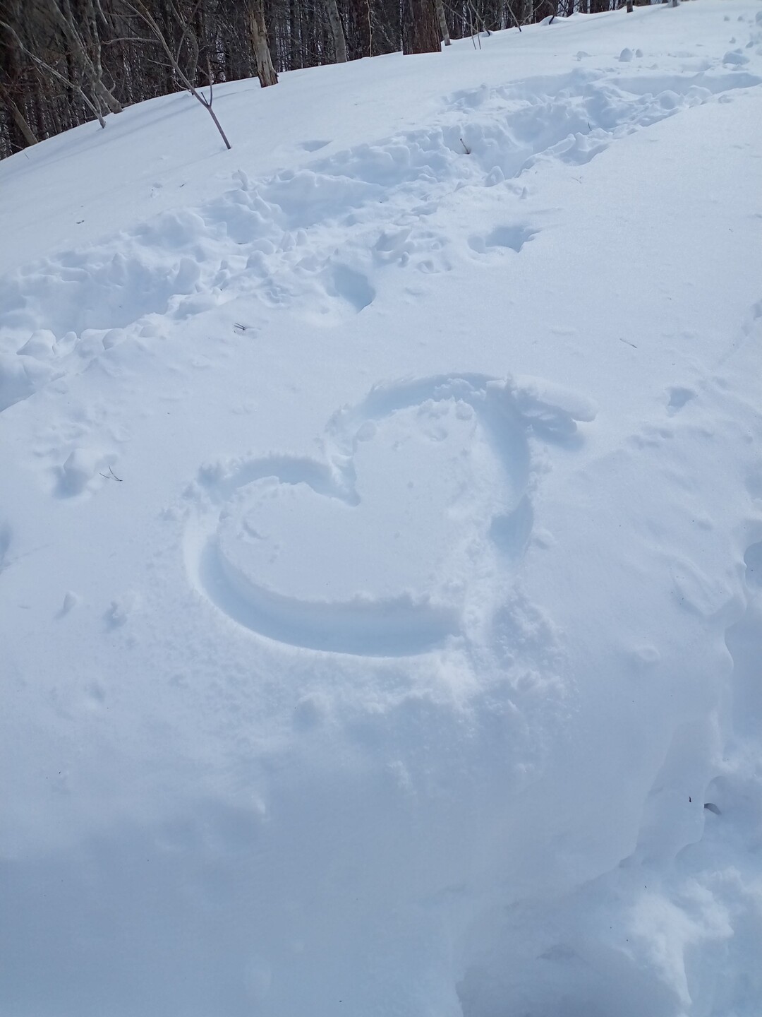 整いました / big-hornさんの姫神山の活動データ | YAMAP / ヤマップ