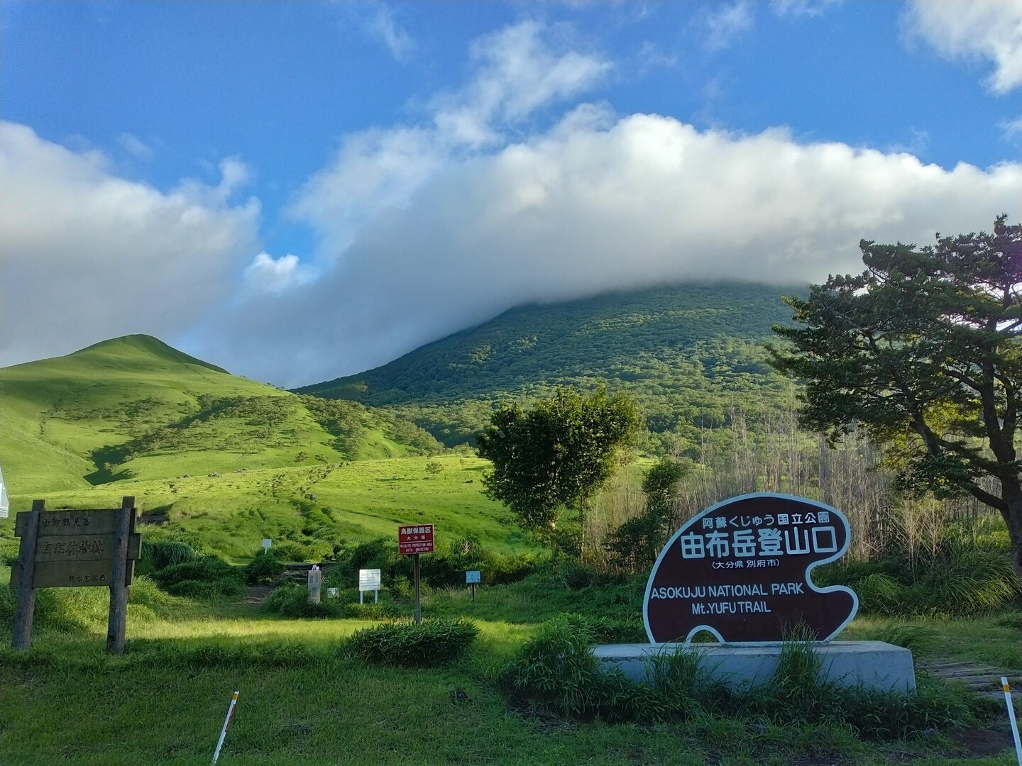 霧と爆風で撤退！由布岳 / えだっちさんの由布岳・鶴見岳の活動データ | YAMAP / ヤマップ