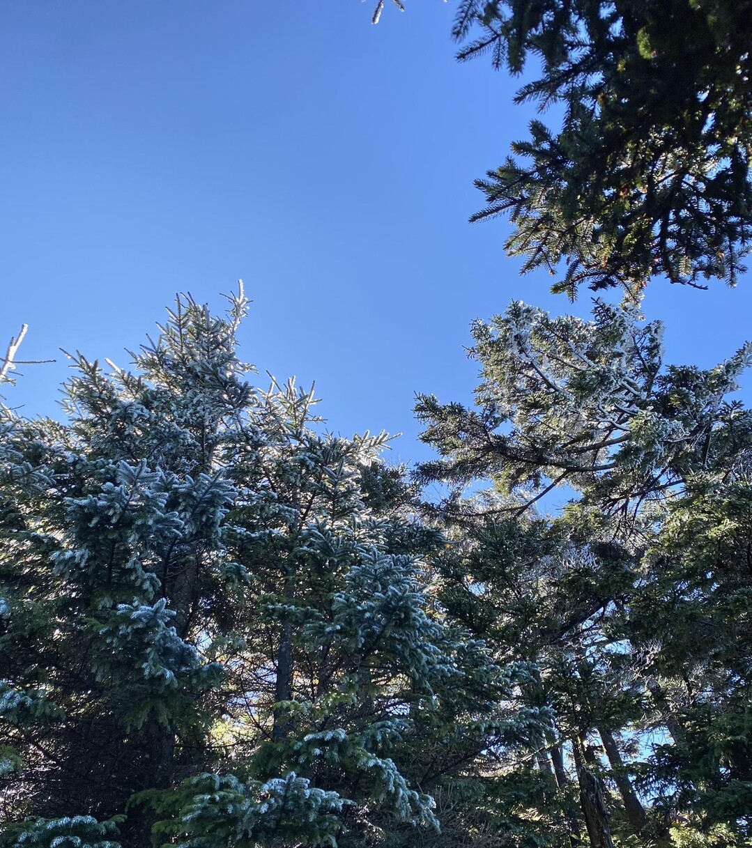 霧氷と紅葉のグラデーション【八経ヶ岳】 / k_ta3736さんの八経ヶ岳の活動データ | YAMAP / ヤマップ