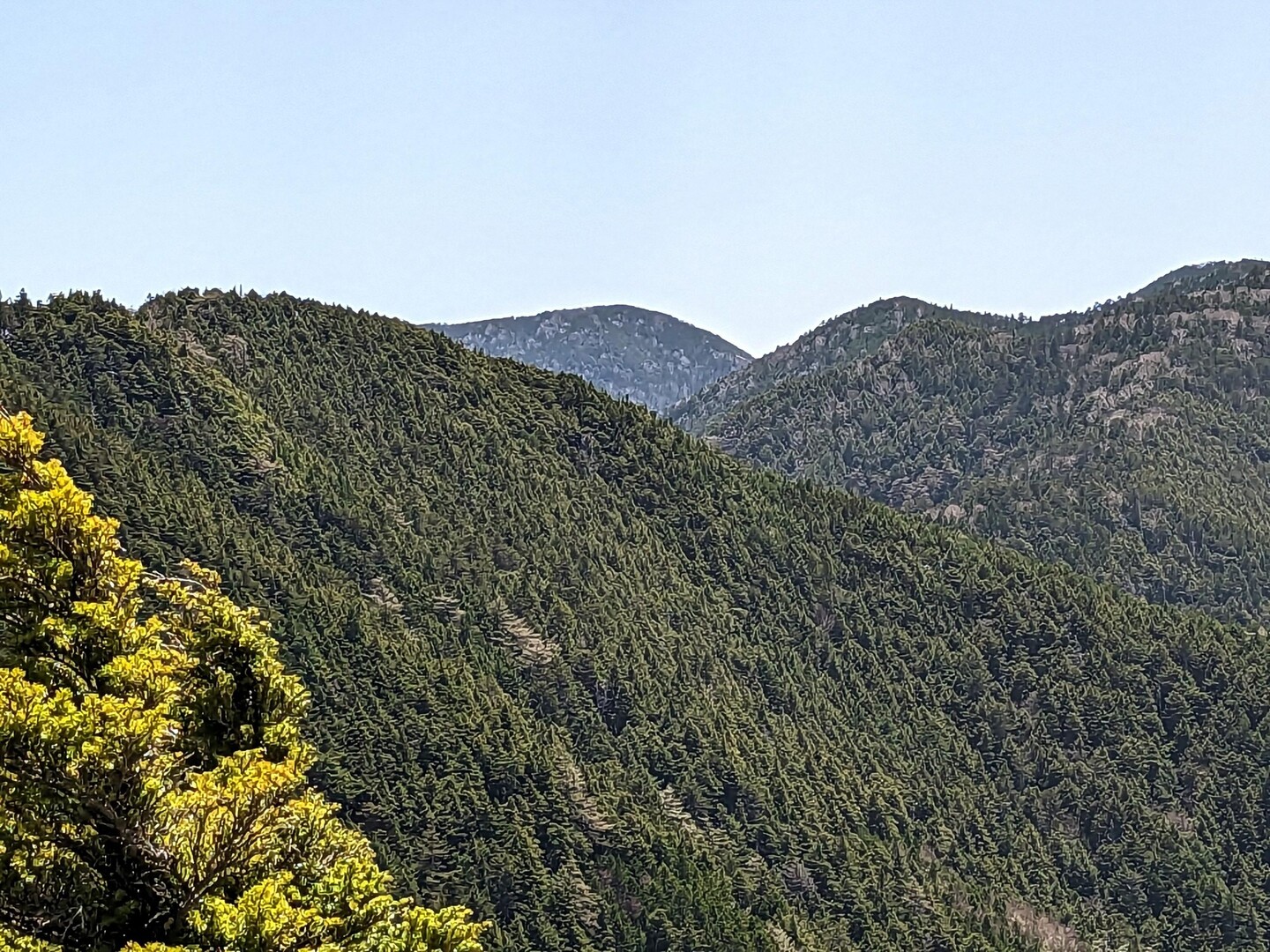 🥰甲武信ヶ岳💦日本百名山#59 / "satoh"さんの甲武信ヶ岳の活動データ | YAMAP / ヤマップ