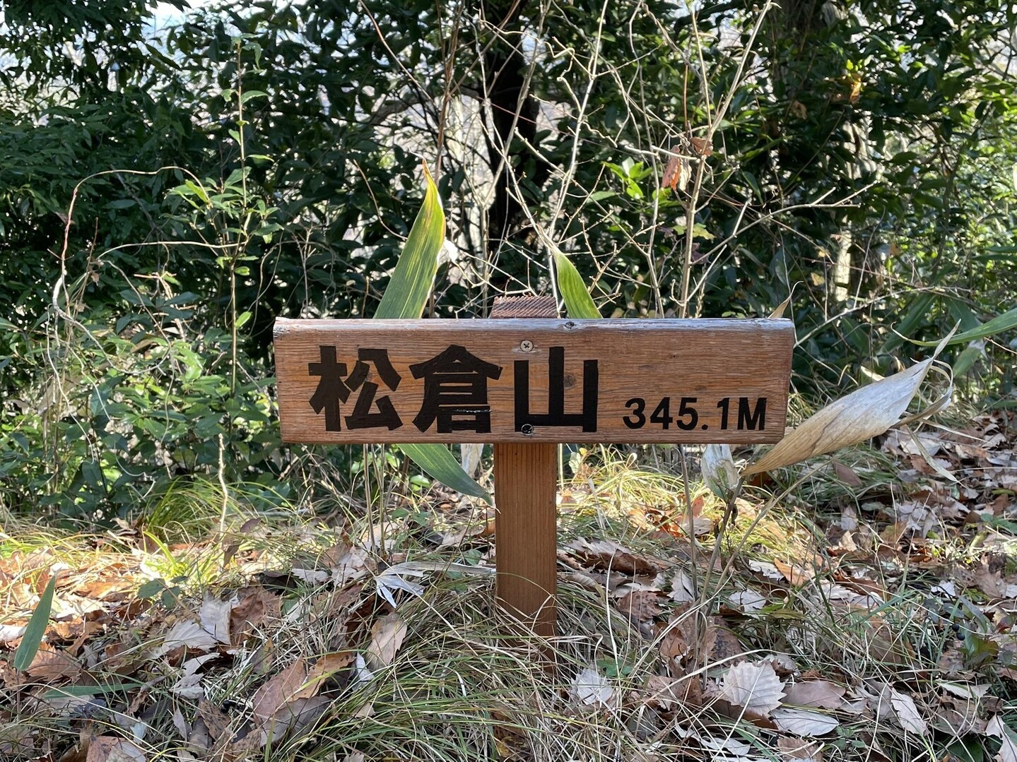 松倉山 / Shinさんの松倉山の活動データ | YAMAP / ヤマップ